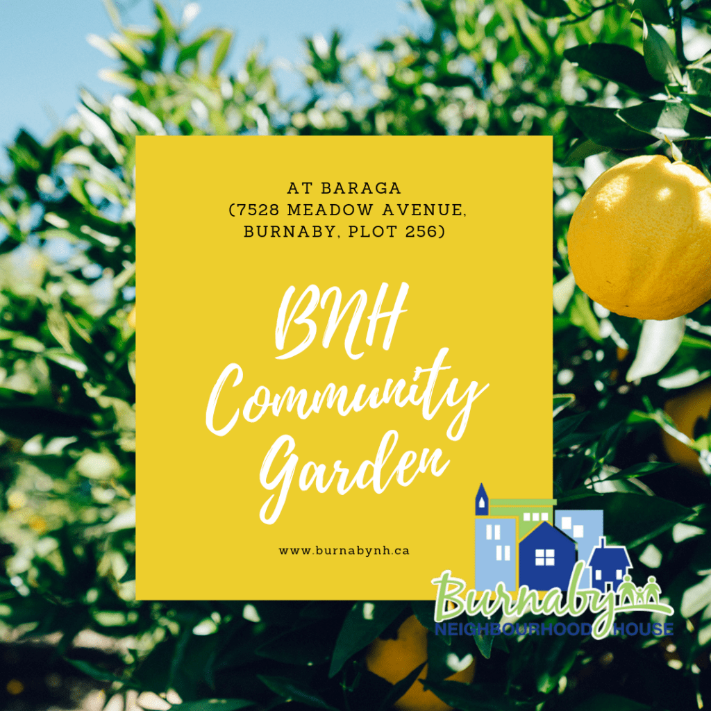 Get Involved - Community - Burnaby Neighbourhood House